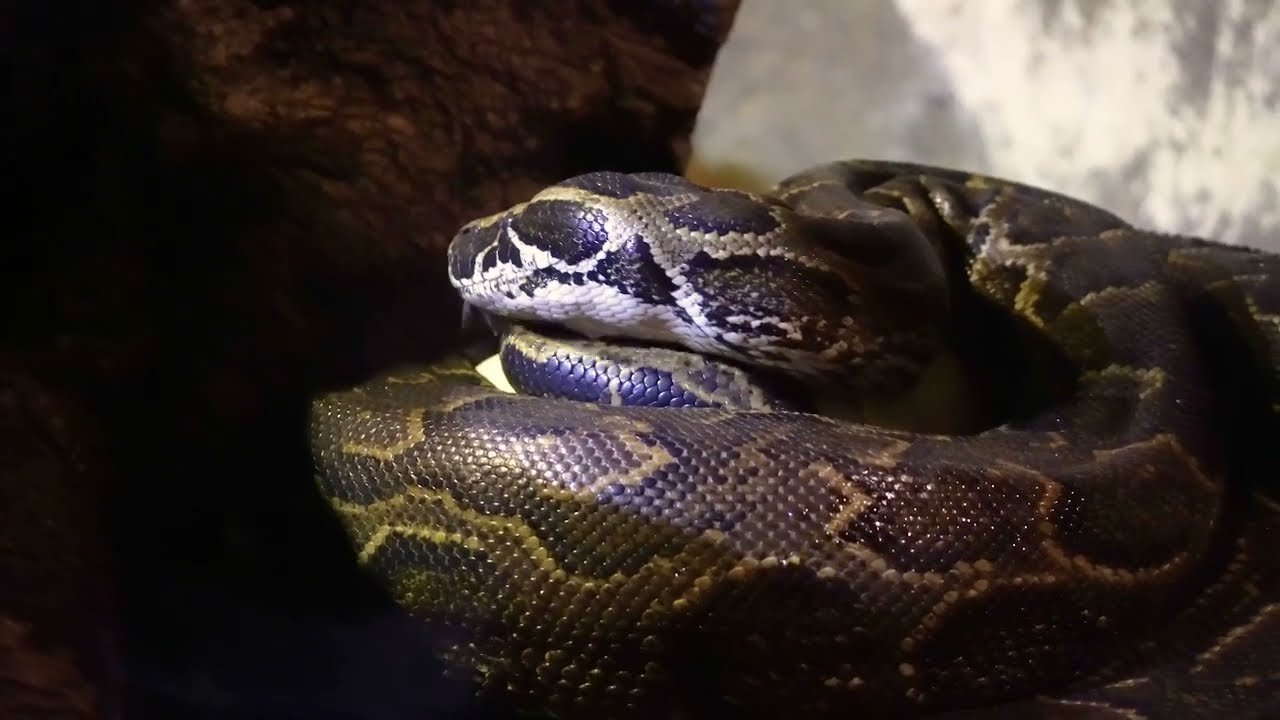 Así fue la primera vuelta al mundo de la historia