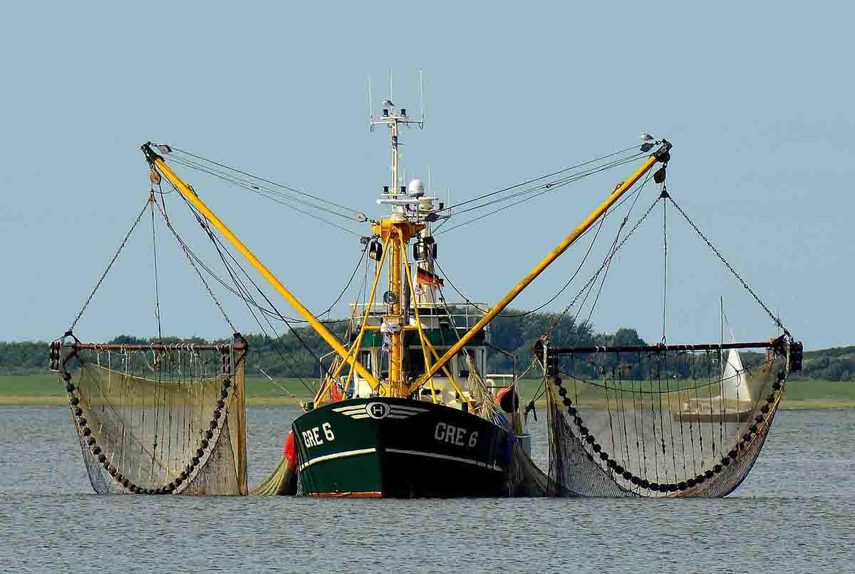 Bruselas revisará el veto a la pesca de fondo