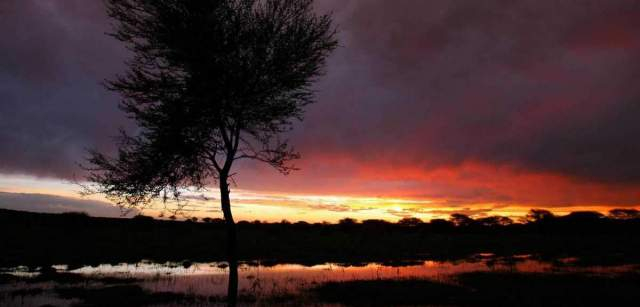 La crisis climática se intensifica