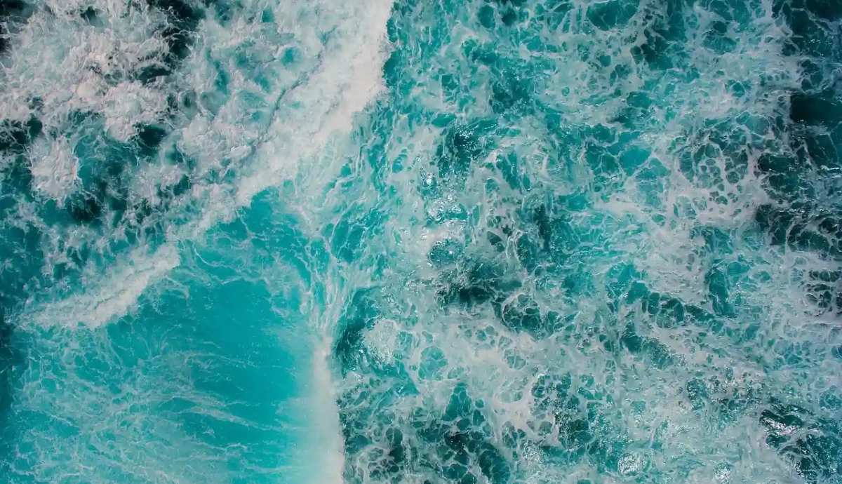 Qué son los mares | Definición, características