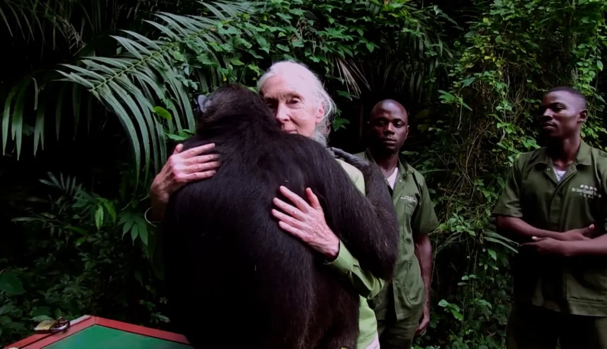 Fallece a los 91 años Jane Goodall, etóloga y activista